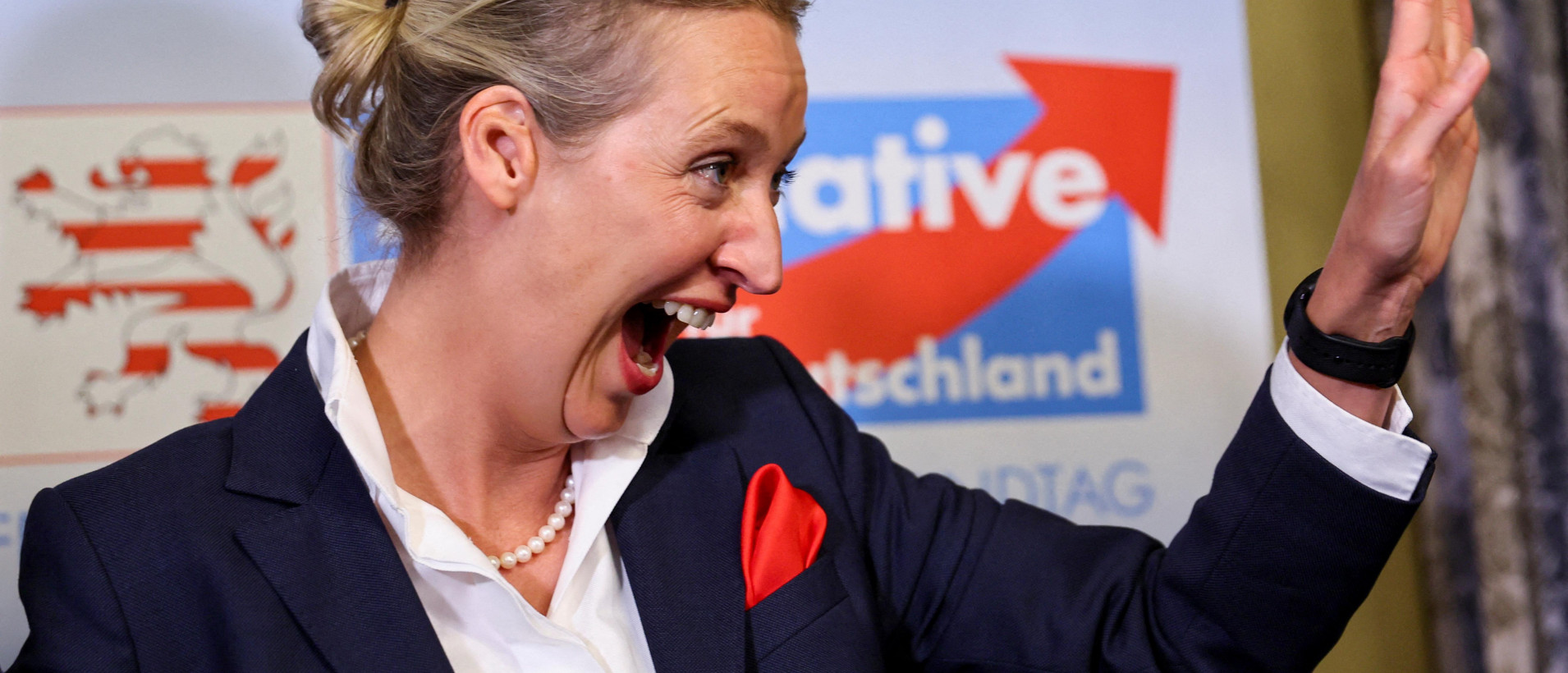 Pro-Russian politicians in the EU: Who are they and how much ...