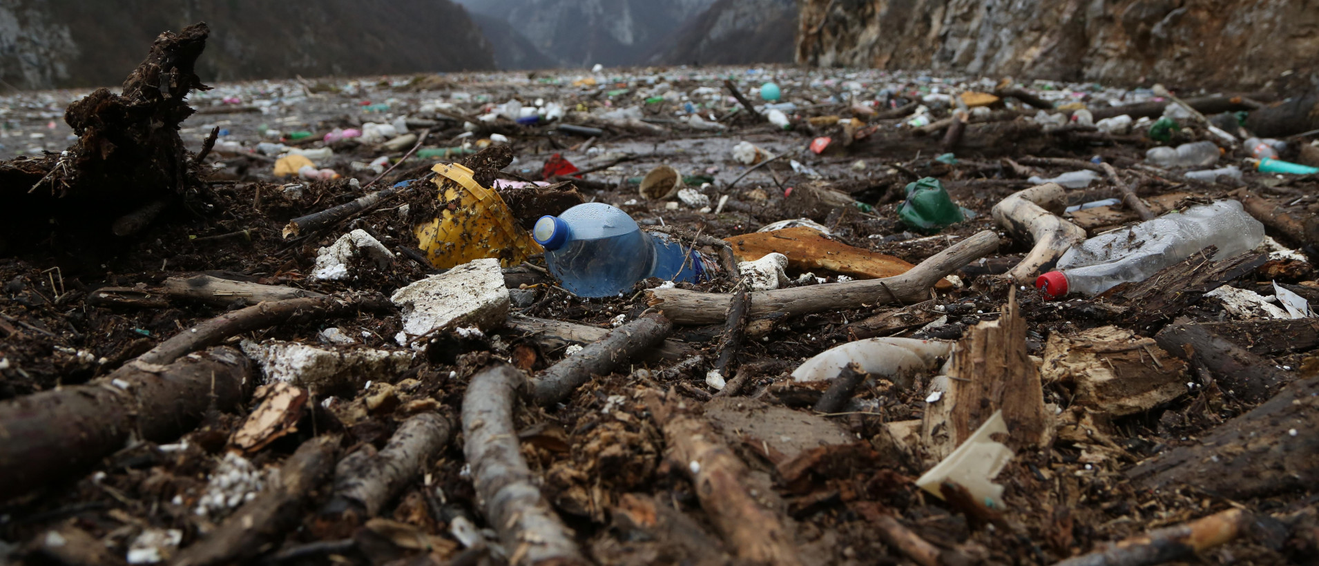 BIC Fake news trends Western Countries Cause of Planet Pollution